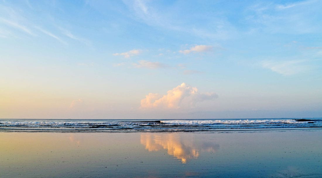 7 Ways To Be An Ocean Guardian at School • Bodhi Surf + Yoga