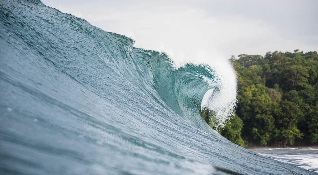 Advice on How to Read a Surf Report and Understand It