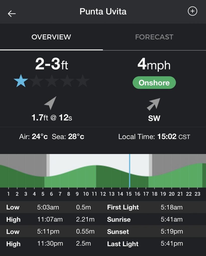 Advice on How to Read a Surf Report and Understand It